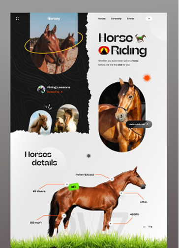 Courses – Hakideas